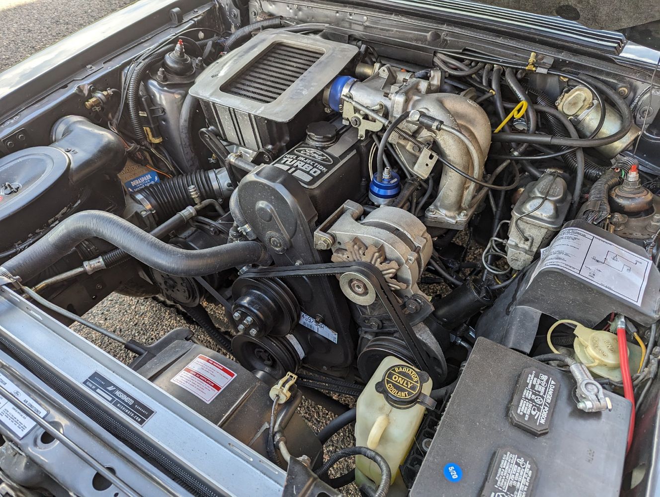 1984 Ford Mustang SVO Turbo | Colorado Motorcars