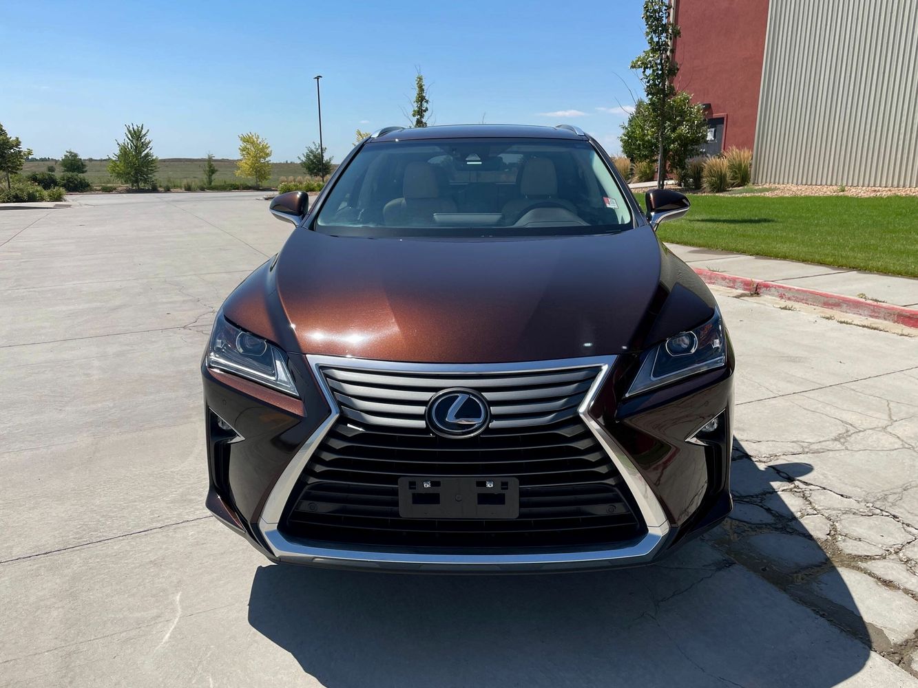 2019 Lexus RX 350 Base | Storm Mountain Motors