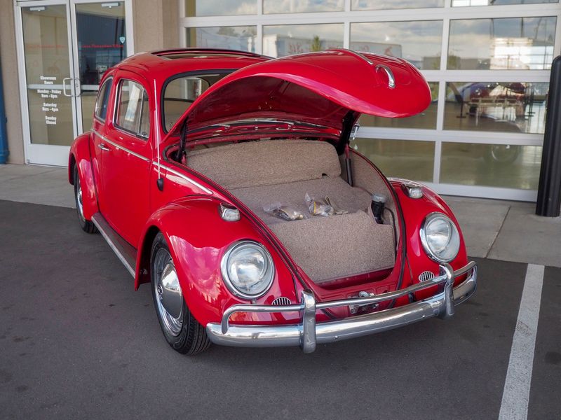 1964 Volkswagen Beetle Photos