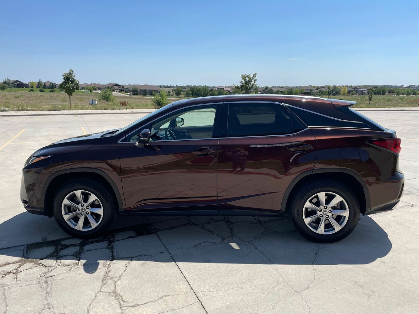 2019 Lexus RX 350 Base | Storm Mountain Motors