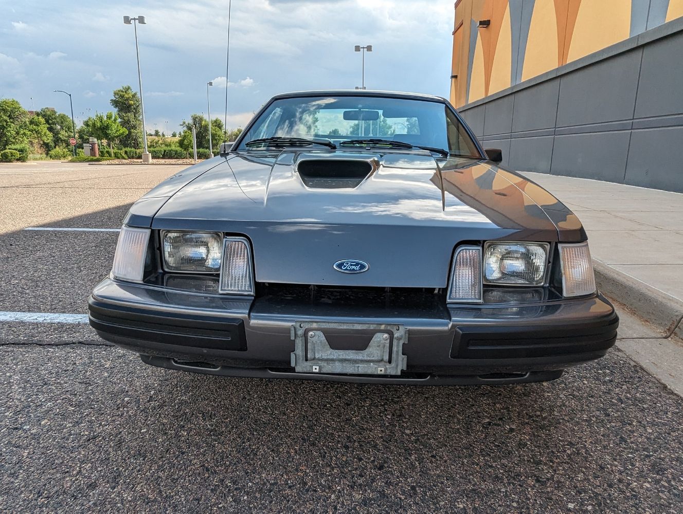 1984 Ford Mustang SVO Turbo | Colorado Motorcars