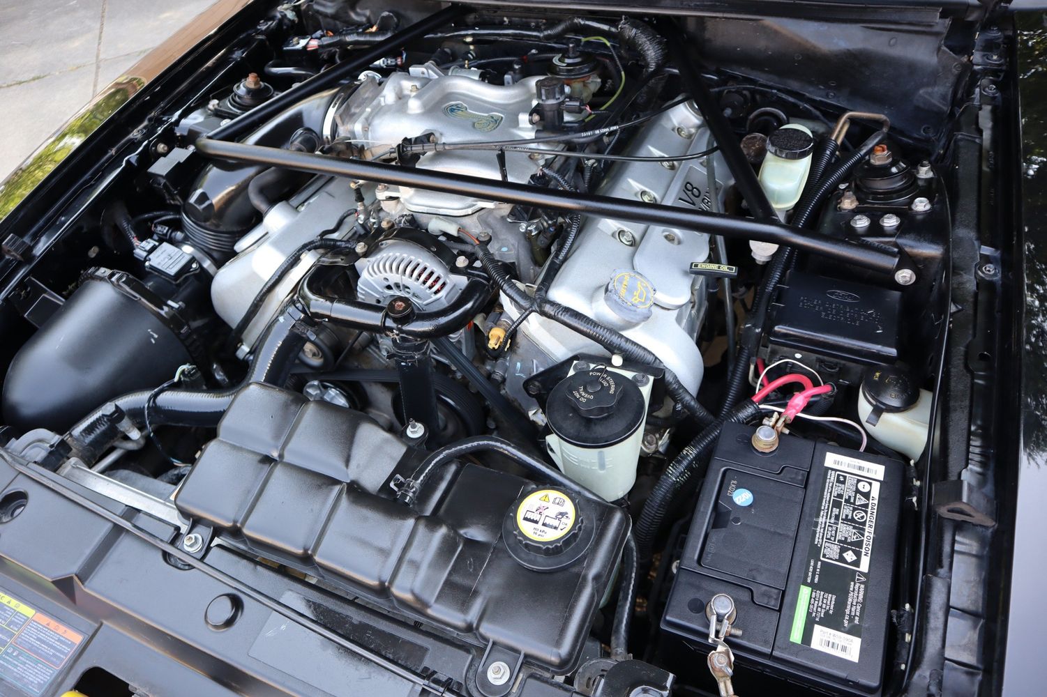 2001 Ford Mustang SVT Cobra Base | Victory Motors of Colorado