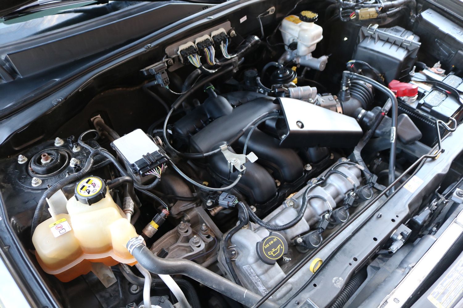 2008 Ford Escape XLT | Victory Motors of Colorado