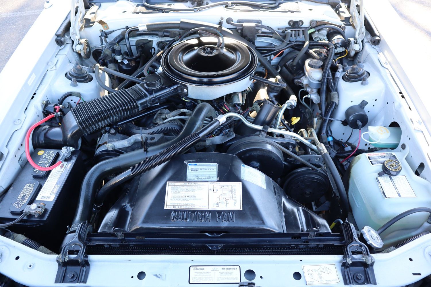 1987 Ford Thunderbird Base | Victory Motors of Colorado