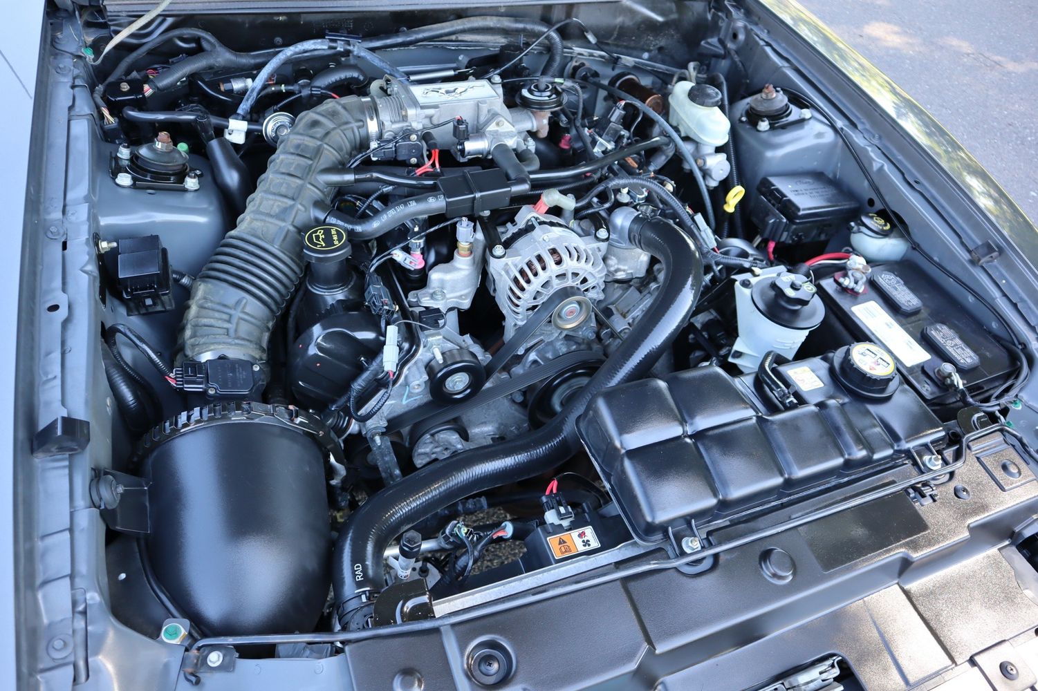 2004 Ford Mustang GT Deluxe | Victory Motors of Colorado