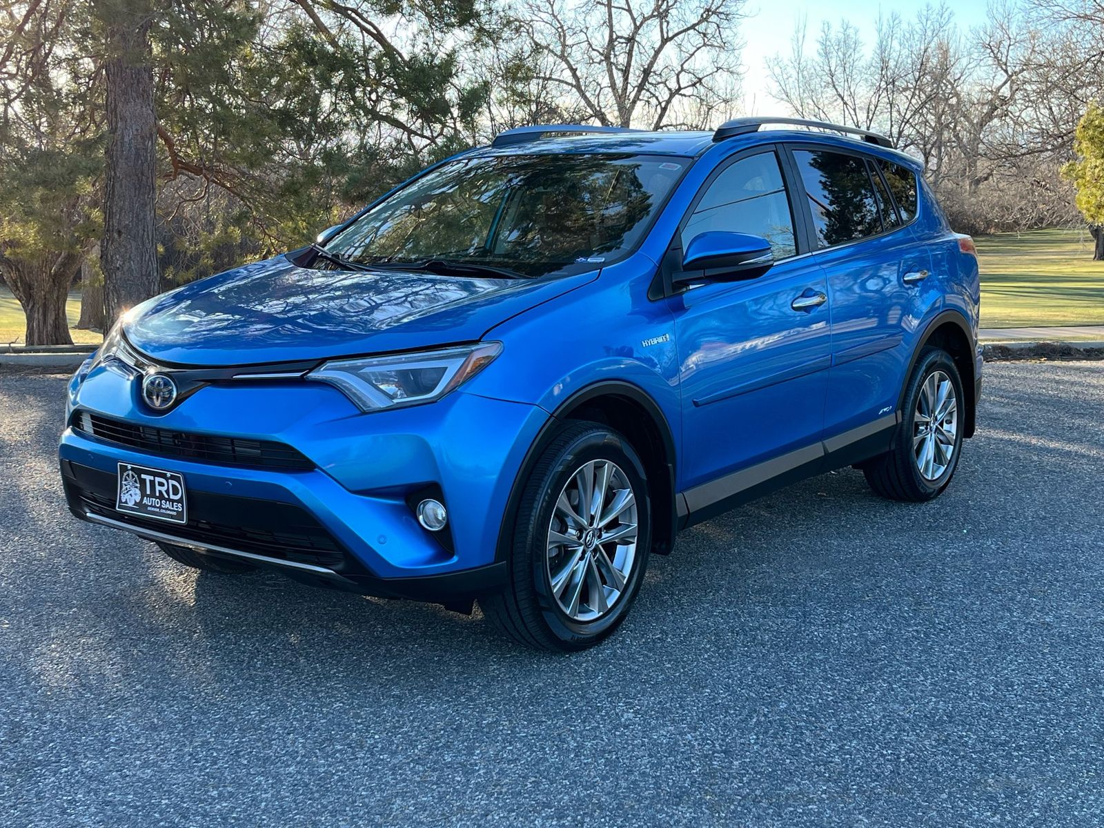 2017 Toyota RAV4 Hybrid Limited | TRD Auto Sales LLC
