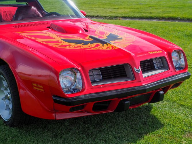 1975 Pontiac Firebird Trans Am | Cars Remember When