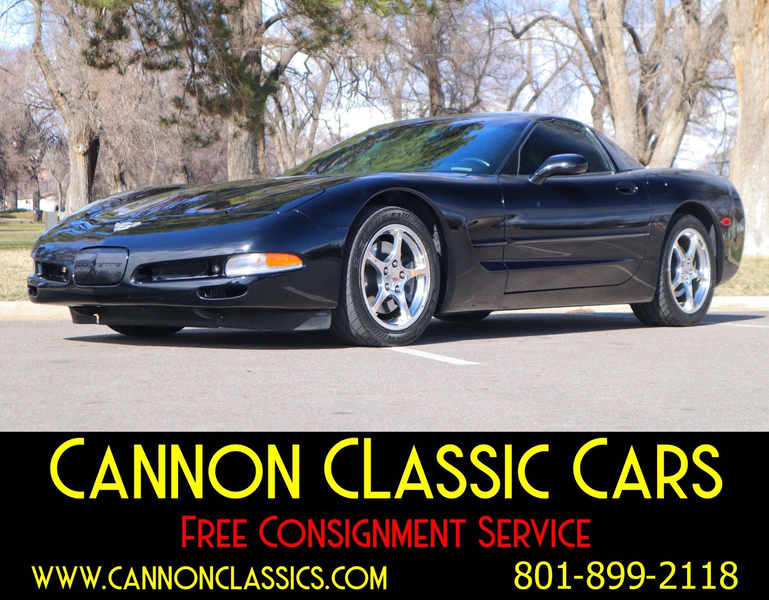 2003 Chevrolet C5 Corvette Base | Cannon Classic Cars
