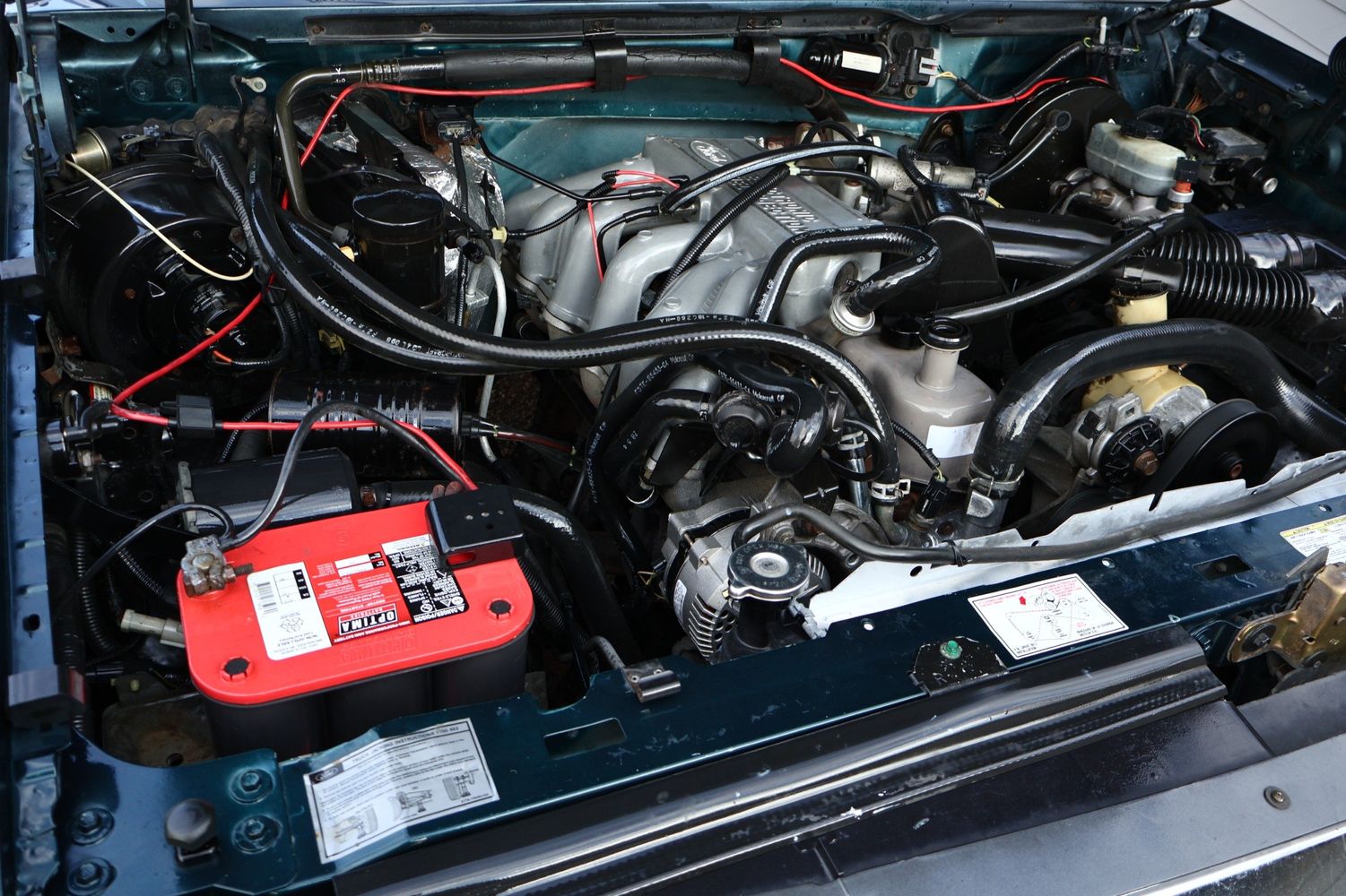 1995 Ford F-150 XLT | Victory Motors of Colorado