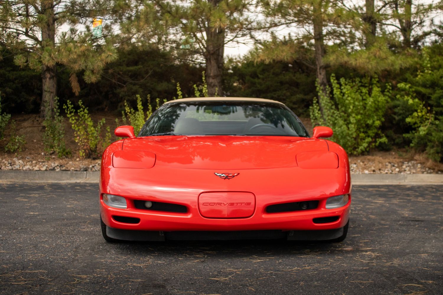 2002 Chevrolet Corvette Convertible | Storm Mountain Motors