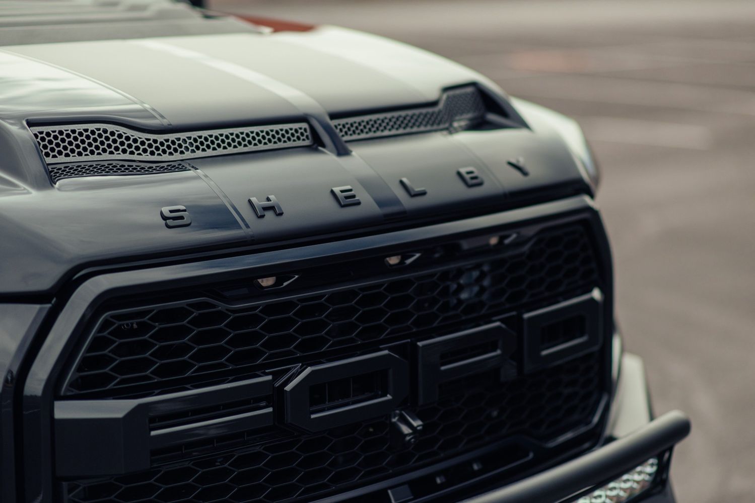 2020 Ford F-150 Raptor | Storm Mountain Motors