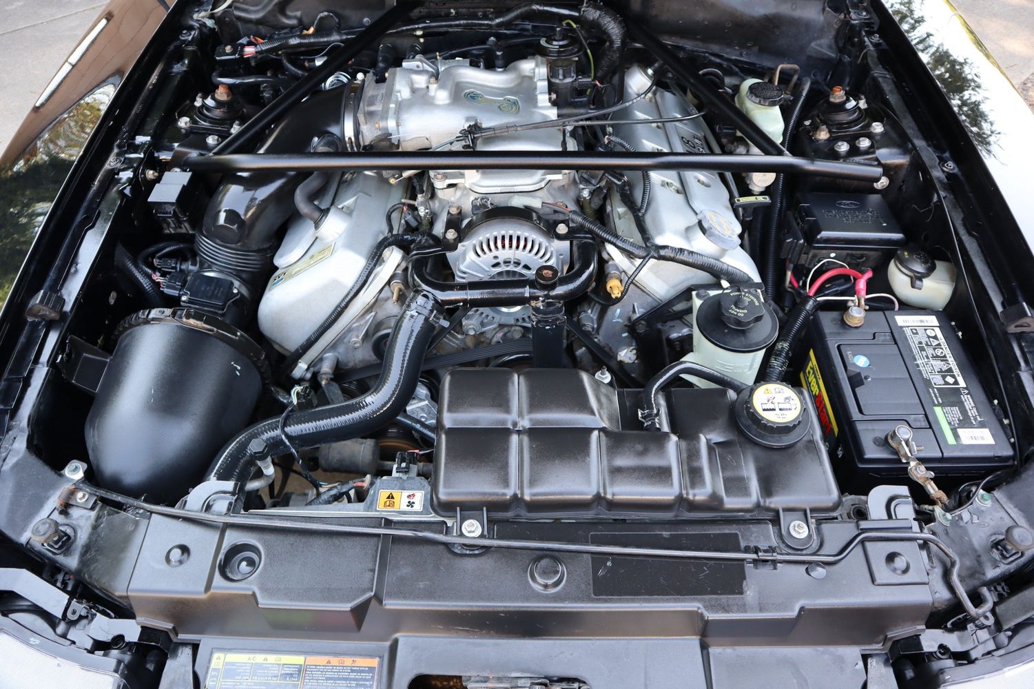2001 Ford Mustang SVT Cobra Base | Victory Motors of Colorado