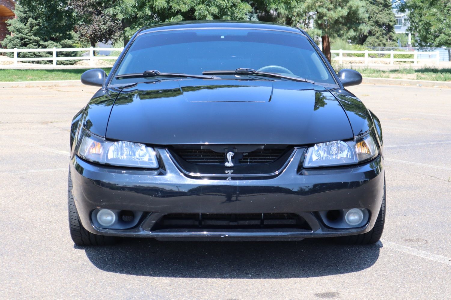 2001 Ford Mustang SVT Cobra Base | Victory Motors of Colorado