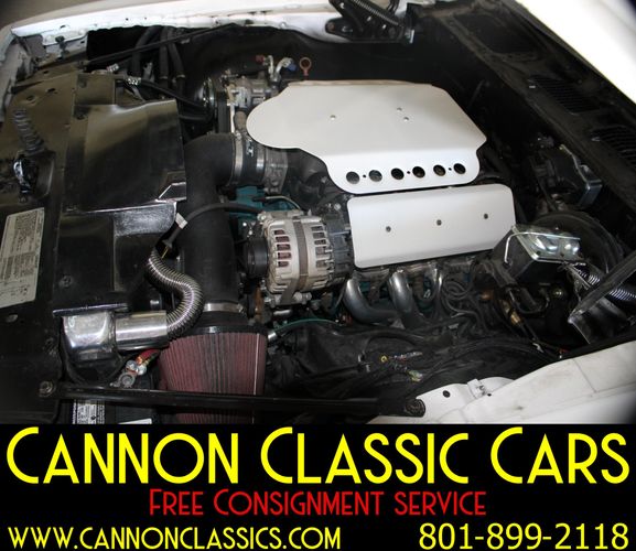 1978 Pontiac Firebird Trans Am | Cannon Classic Cars