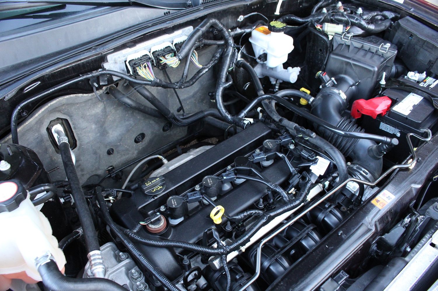 2012 Ford Escape XLT | Victory Motors of Colorado