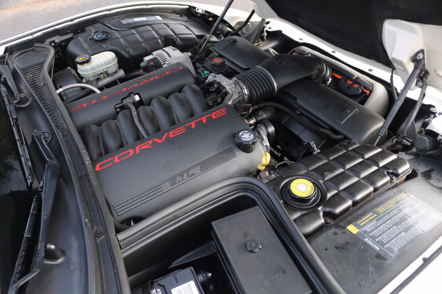 2001 Chevrolet Corvette Fastback | Victory Motors of Colorado