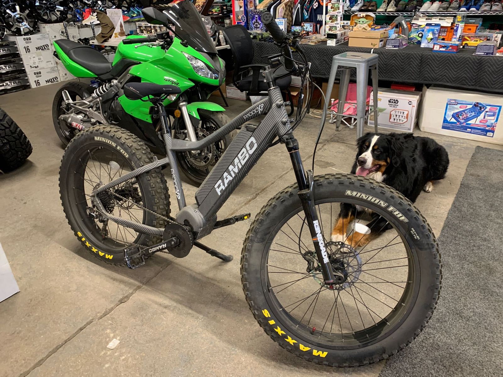 2019 RAMBO 1000 | Off-Road Automotive