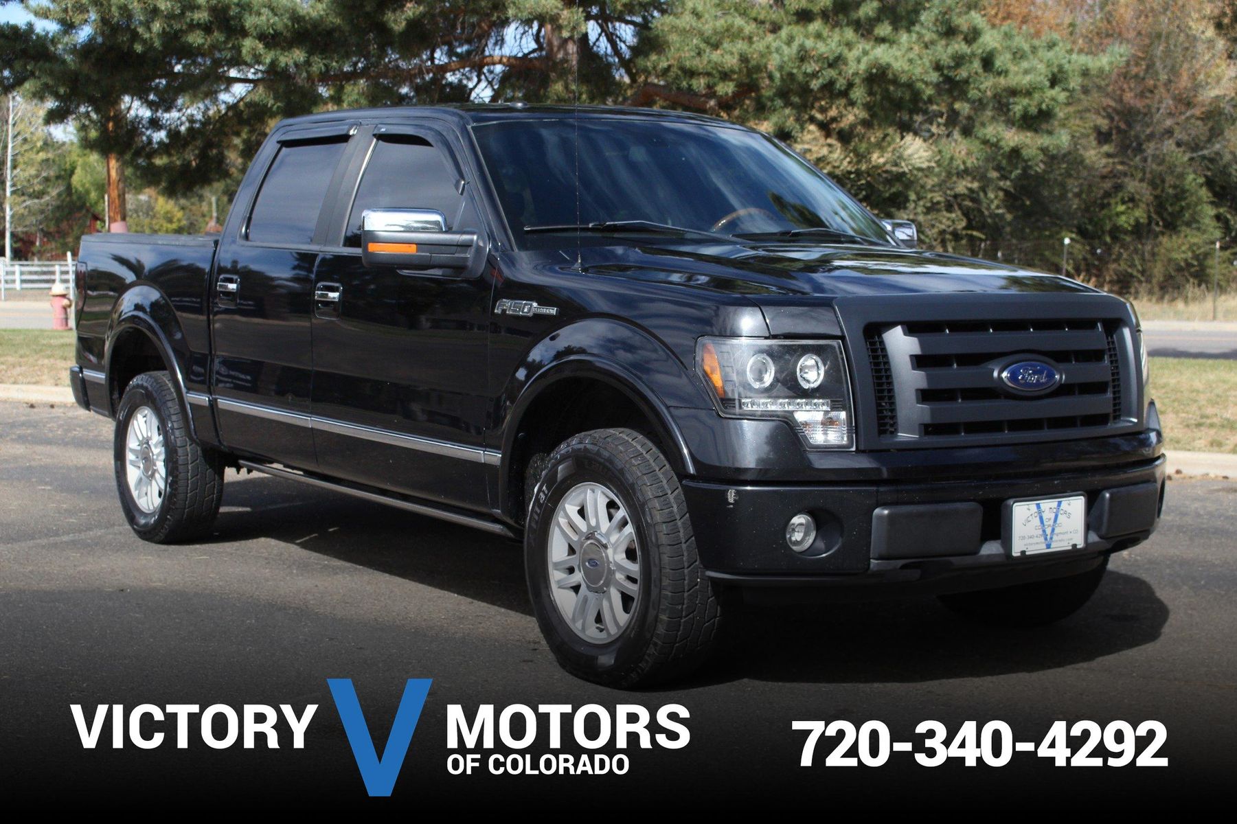 2009 Ford Platinum F150null