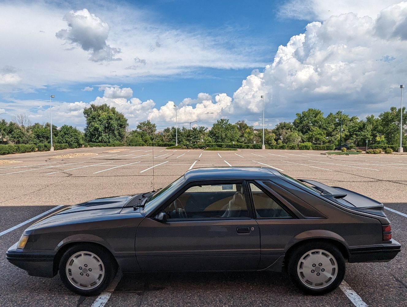 1984 Ford Mustang SVO Turbo | Colorado Motorcars