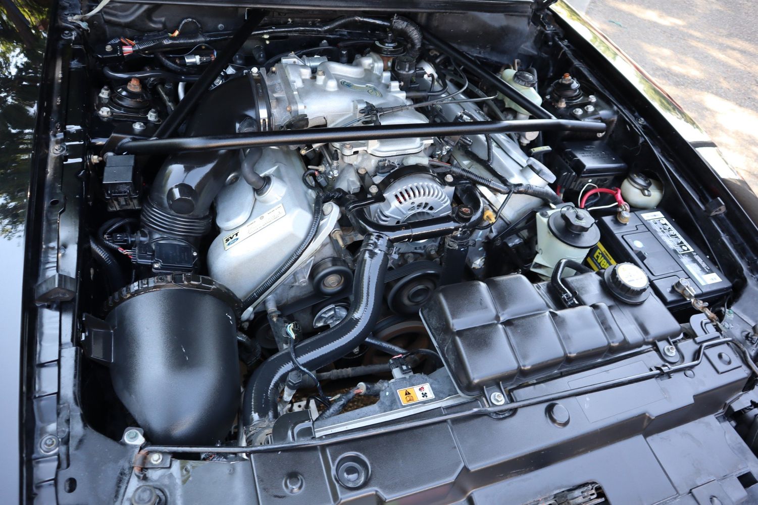 2001 Ford Mustang SVT Cobra Base | Victory Motors of Colorado