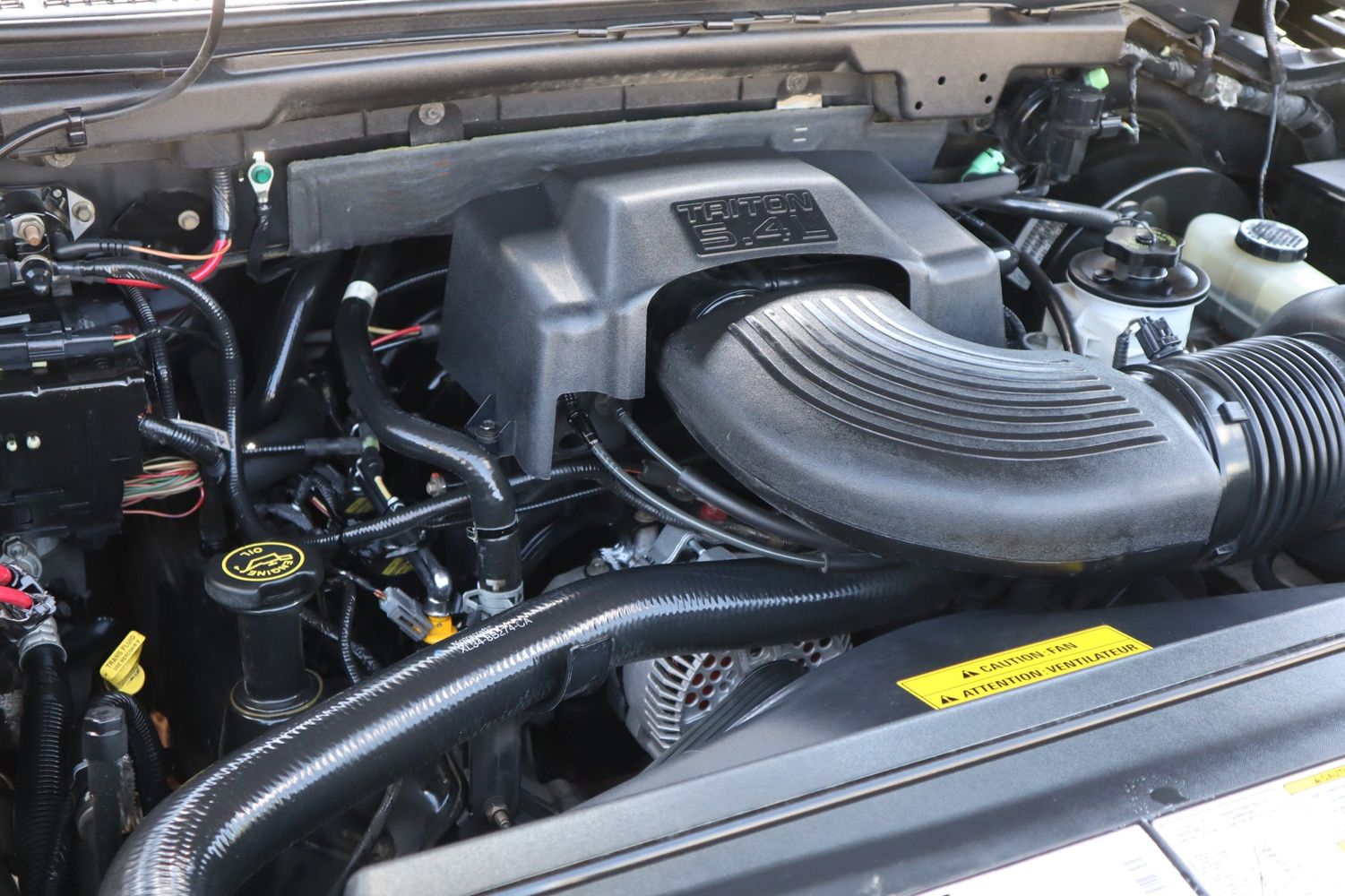 2000 Ford F-150 Harley-Davidson | Victory Motors of Colorado