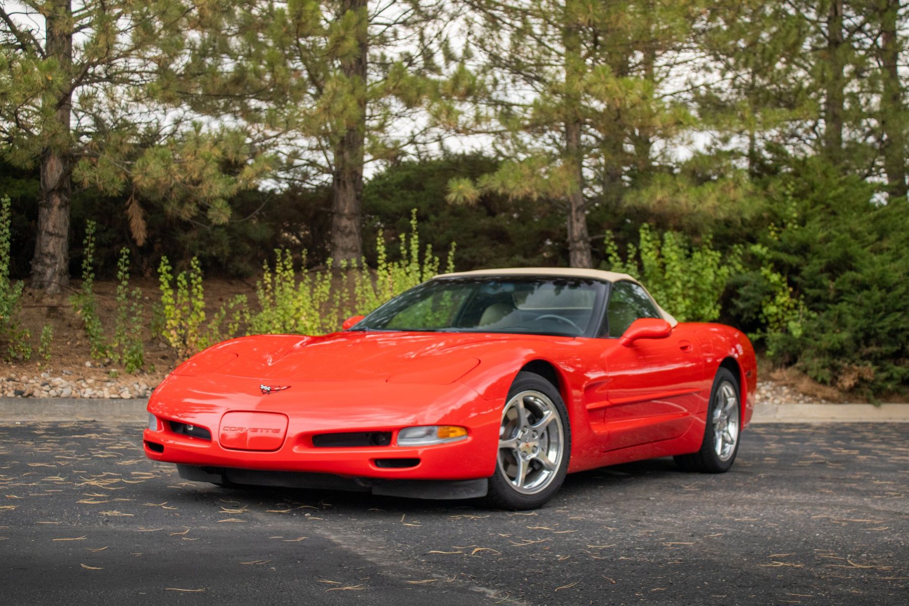 2002 Chevrolet Corvette Convertible | Storm Mountain Motors