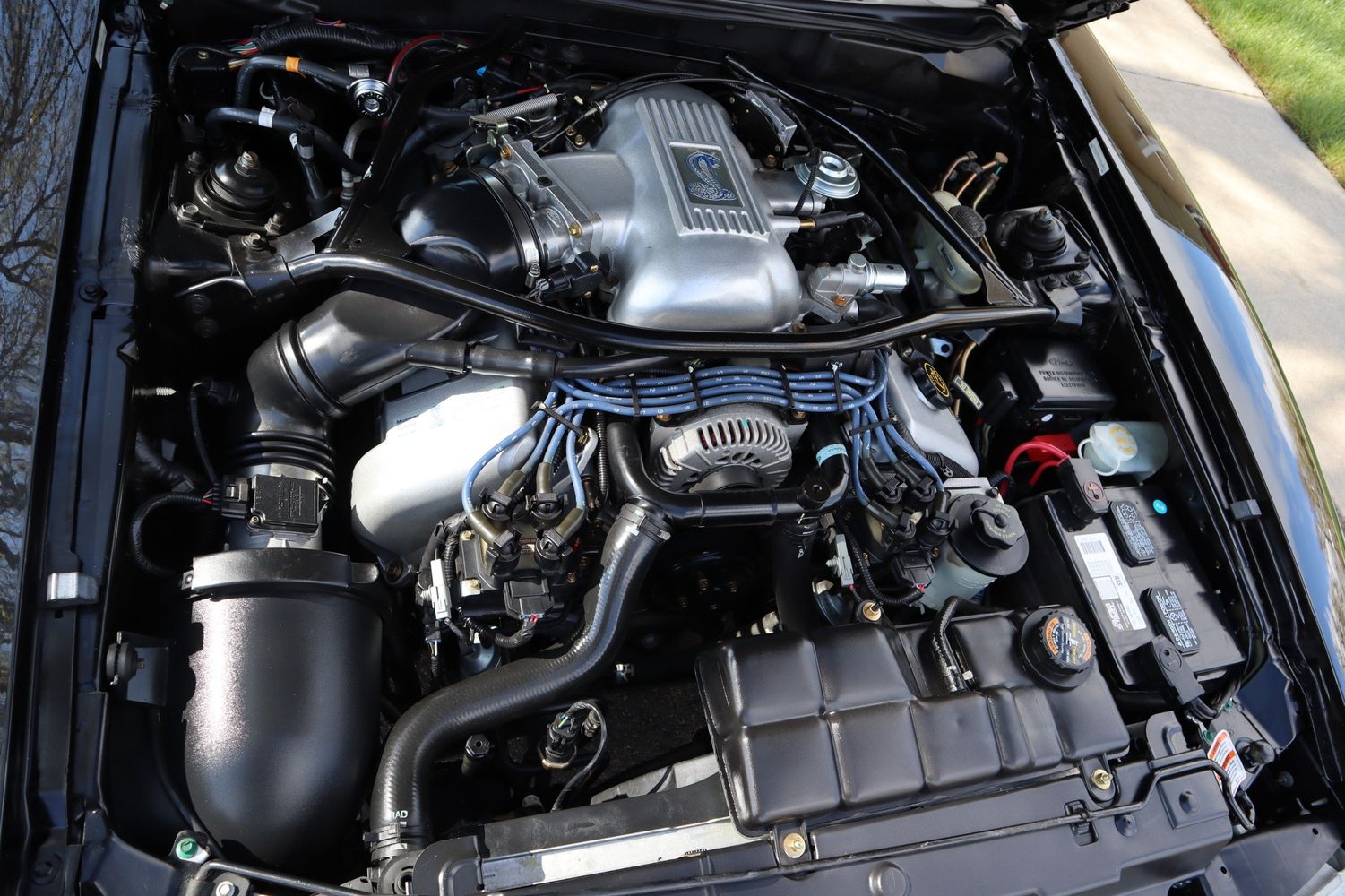 1997 Ford Mustang SVT Cobra Base | Victory Motors of Colorado