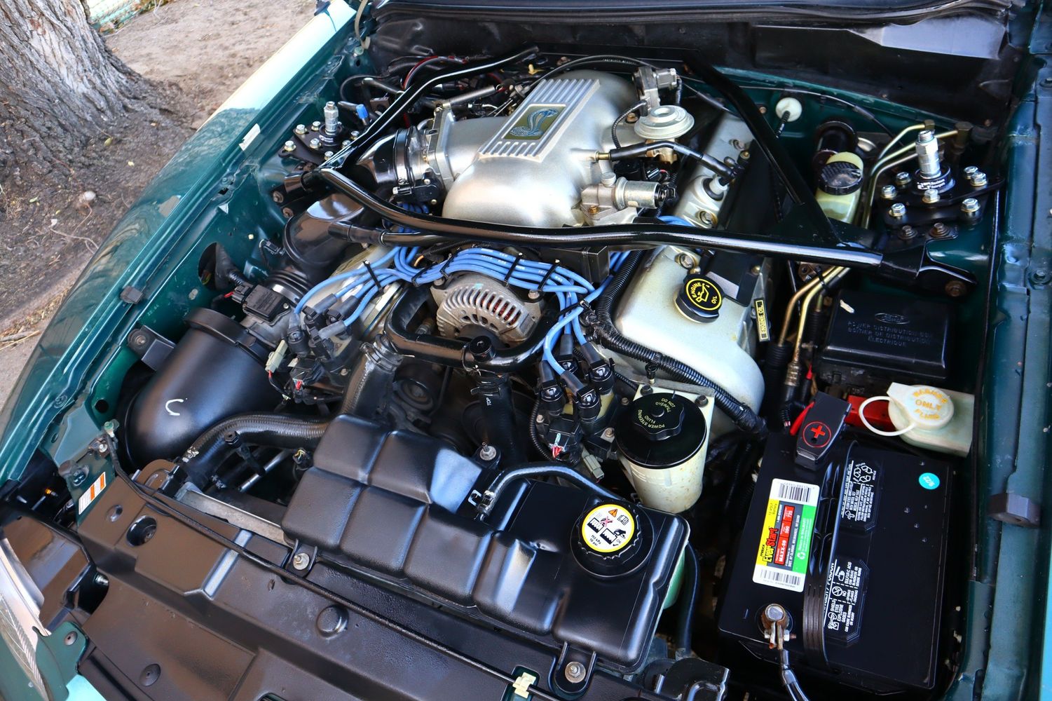 1997 Ford Mustang SVT Cobra Base | Victory Motors of Colorado