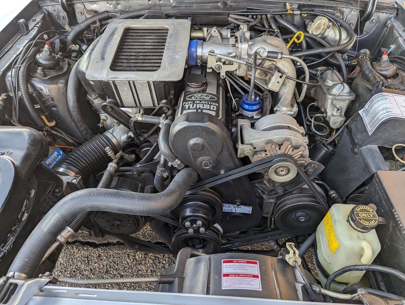 1984 Ford Mustang SVO Turbo | Colorado Motorcars