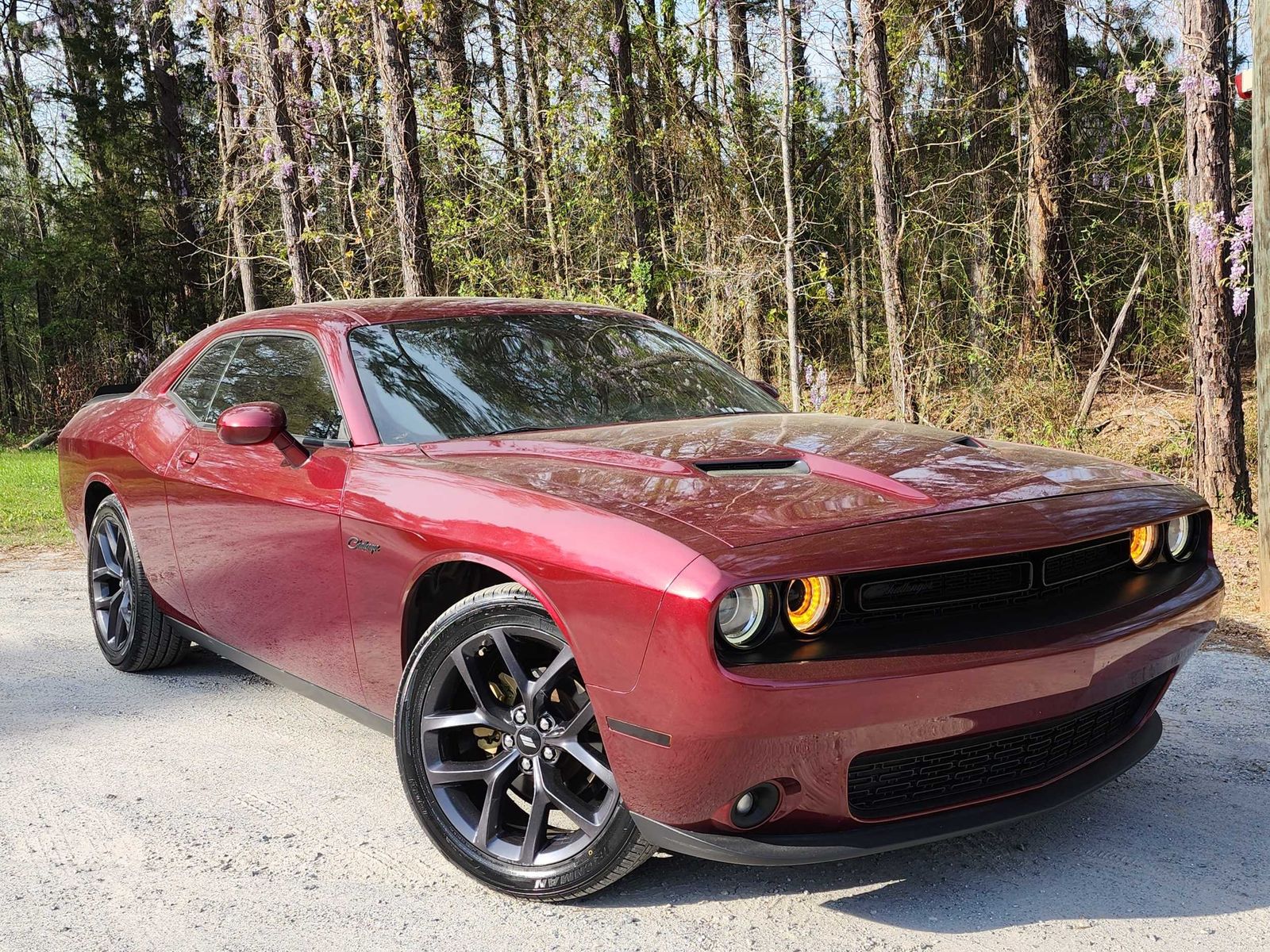 2019 Dodge Challenger SXT | Evans Auto Sales